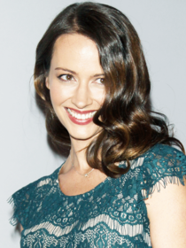Amy Acker - actress, producer - biography, photo, best movies and TV shows